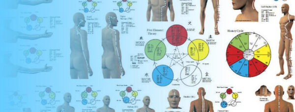 MeridianWallChart | The Kinesiology Bookstore